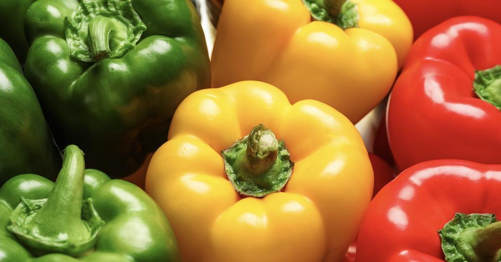 CapsiBreed advances commercial pepper gene editing | News | Fruitnet