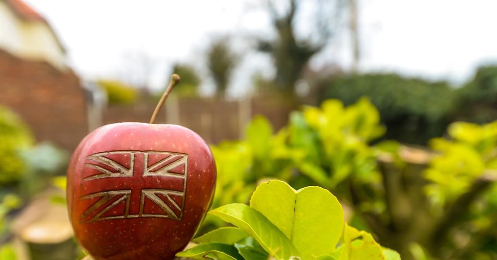 Lidl and Tesco celebrate British apple success | News | Fruitnet