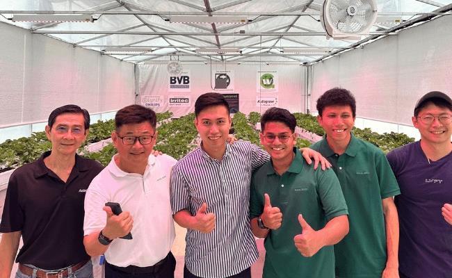 Bluelab and Excel Seeds partner on Malaysian strawberries | News | Fruitnet