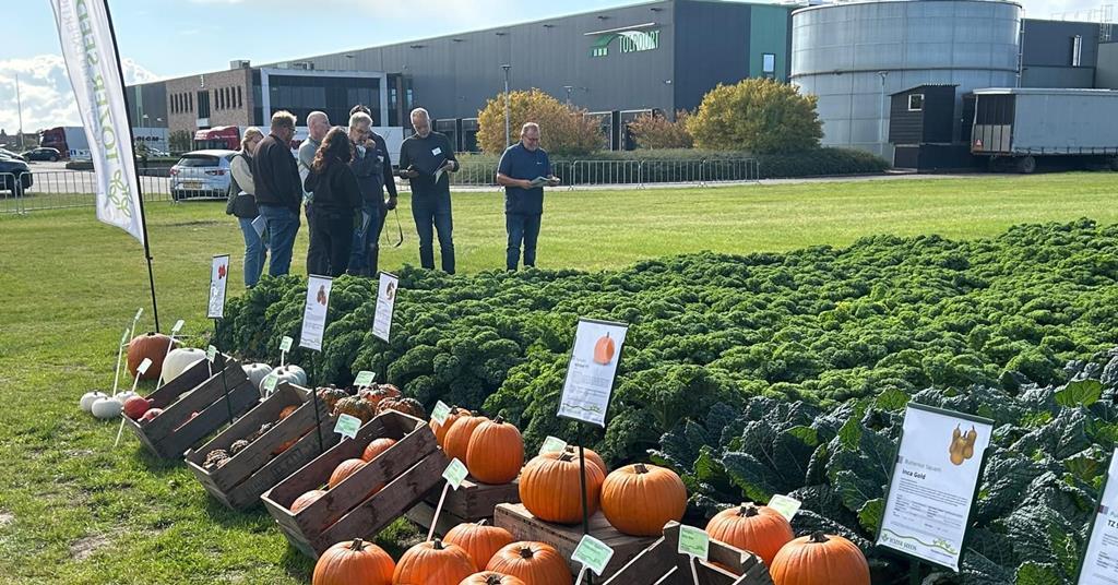 Tozer showcases 100+ vegetable varieties at Dutch Field Trials | News ...