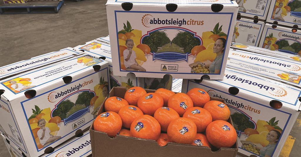 Nutrano sees more growth potential for Australian citrus | News | Fruitnet