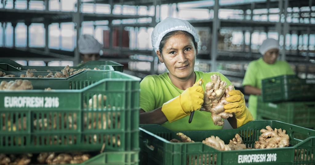 Eurofresh extends organic footprint | Article | Fruitnet