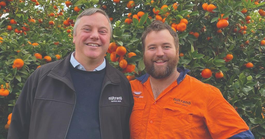 Nutrano sees more growth potential for Australian citrus | News | Fruitnet