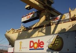 Dole to end Ocean Liner service | Article | Fruitnet