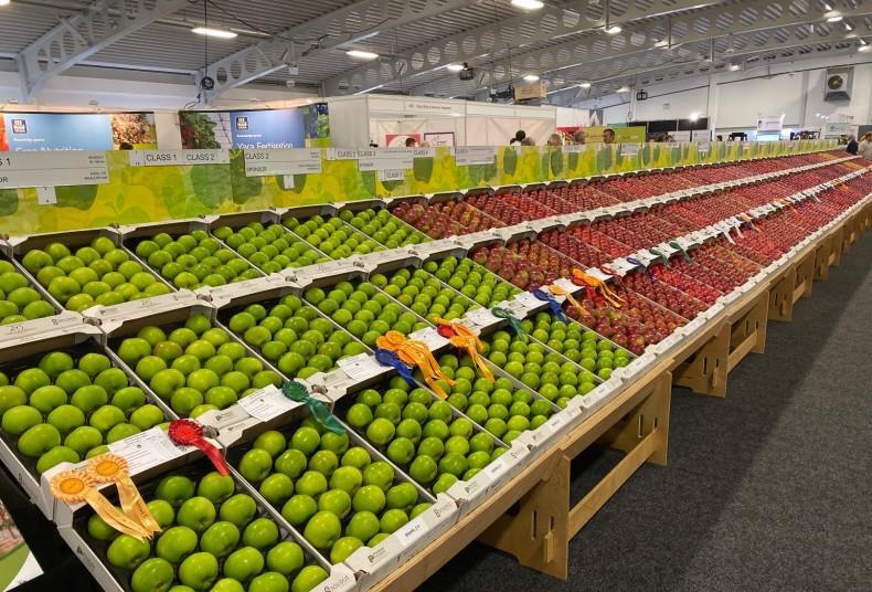 'Most colourful apples' at National Fruit Show | Article | Fruitnet