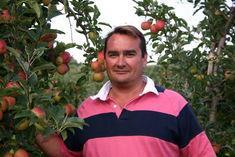 Worldwide Fruit appoints new chairman | Article | Fruitnet