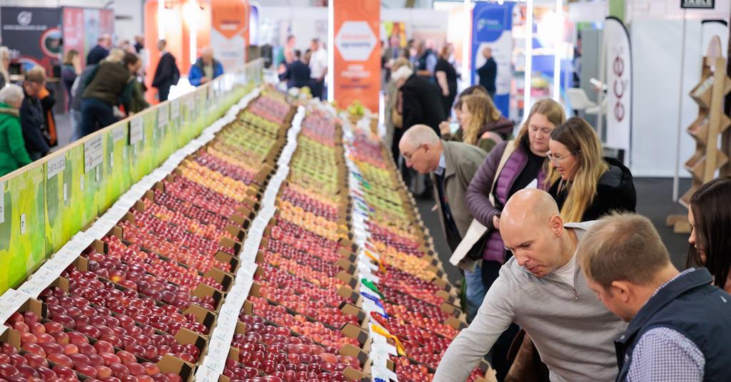 Jazz apples triumph once again at National Fruit Show | News | Fruitnet