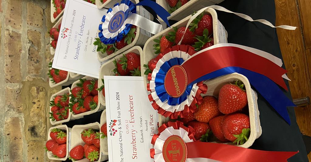 BerryWorld named top of the crops at Kent show | News | Fruitnet