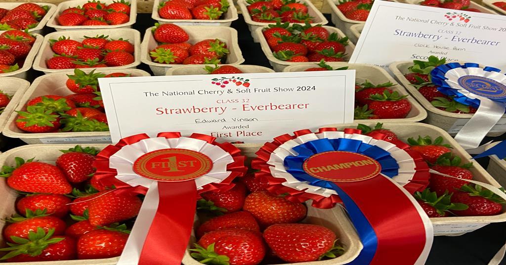 BerryWorld named top of the crops at Kent show | News | Fruitnet