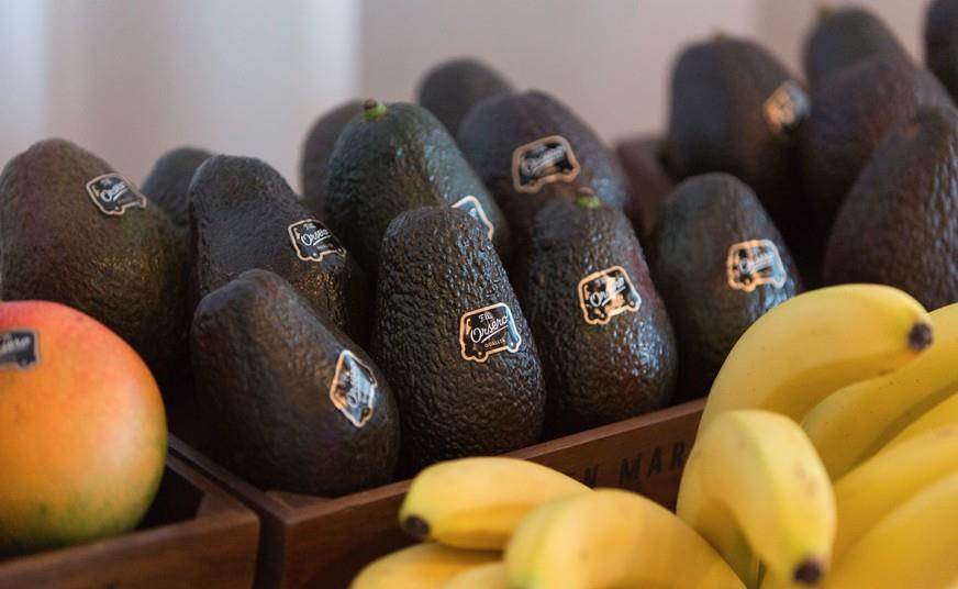 Orsero returns to form and targets expansion | Article | Fruitnet