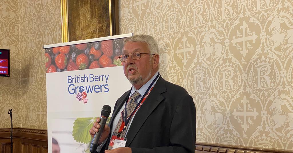 British Berry Growers report calls on government and retailers to step ...