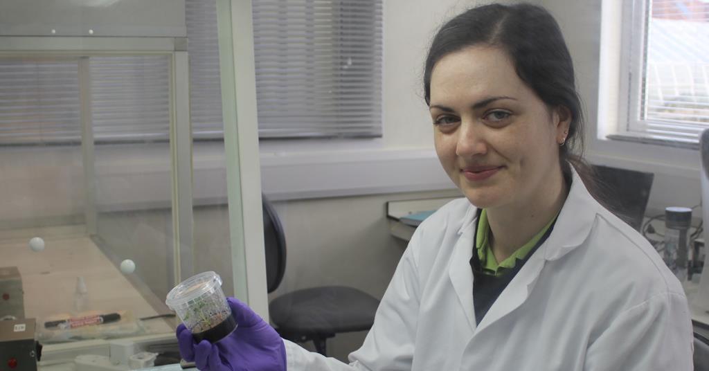 Tozer shortlisted for Best Technical Excellence Award | News | Fruitnet