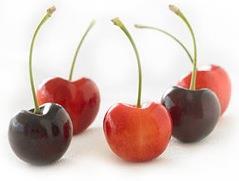 US cherry season in transition | Article | Fruitnet