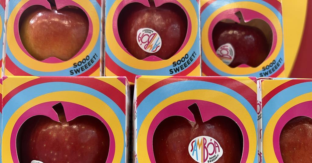 Sambóa offers Chile fresh opportunity as climate warms | News | Fruitnet