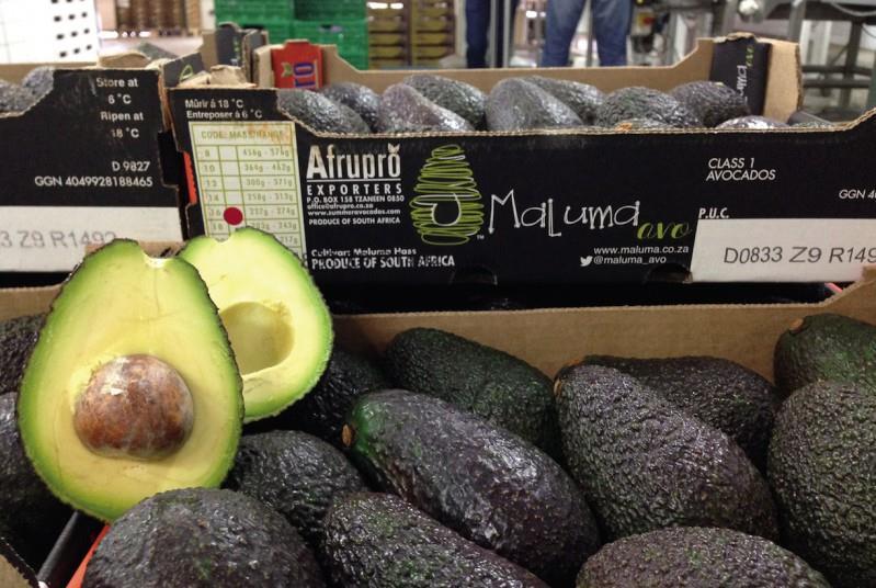 Research that fuels economic growth | Article | Fruitnet