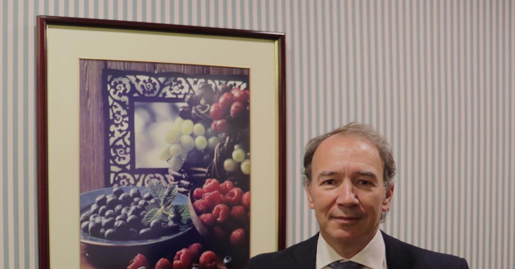 Iván Marambio named new president of Asoex | Article | Fruitnet
