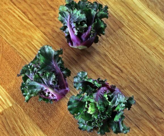 Tozer renames Flower Sprout as Kalette | Article | Fruitnet