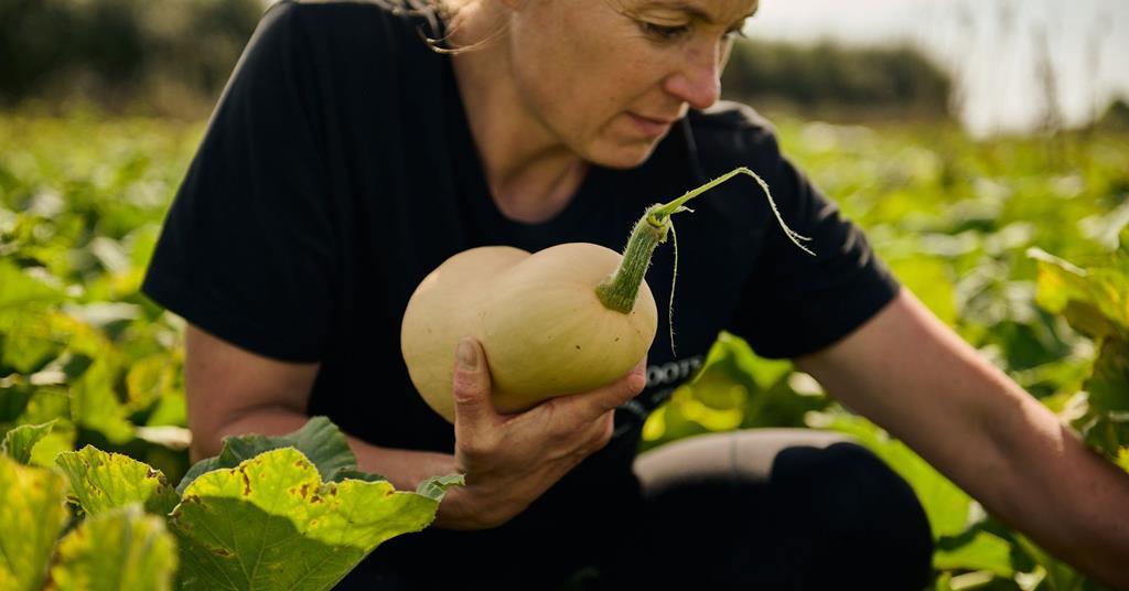 Barfoots expands UK butternut production | News | Fruitnet