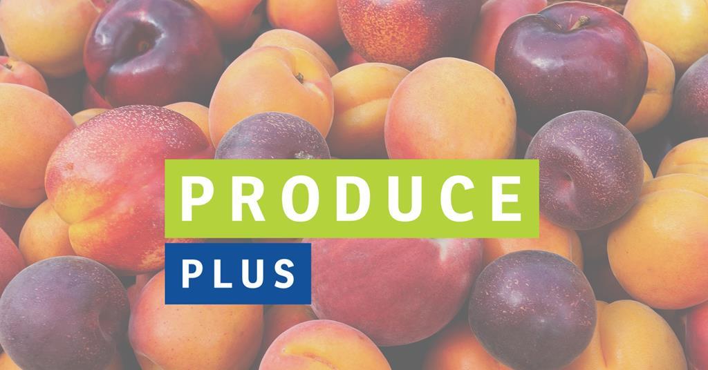 Coming soon: Produce Plus Summer 2025 | Fruitnet