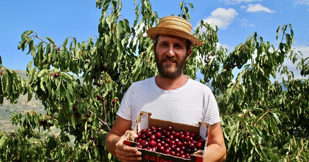 New campaign champions ‘outstanding qualities’ of EU produce | News ...