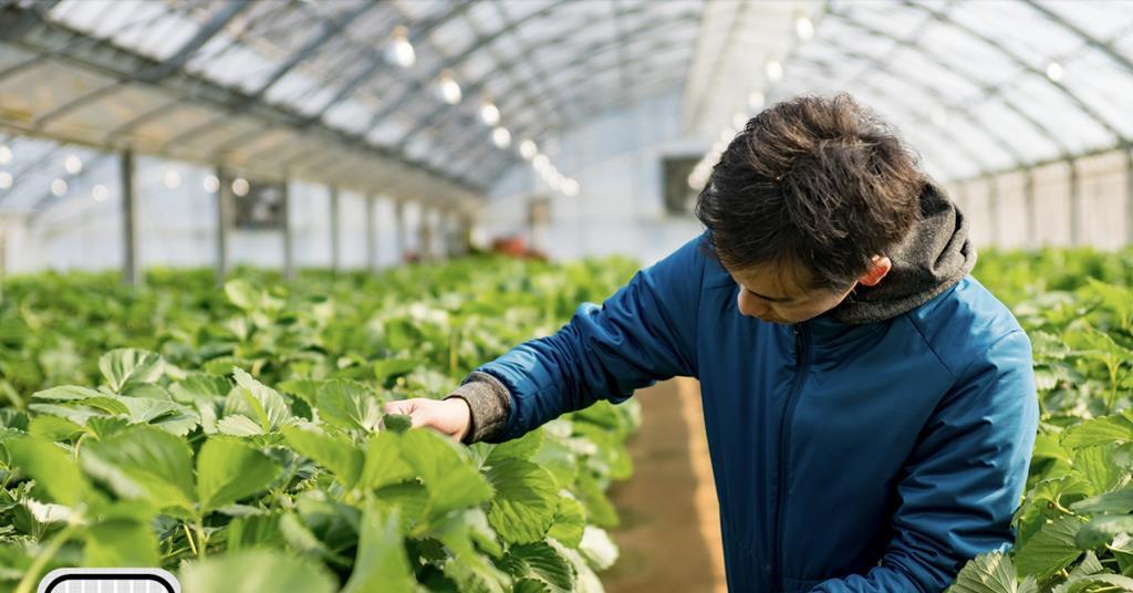 Biobest acquires Crop-Scanner and OKO 2 technology from Ecoation to ...