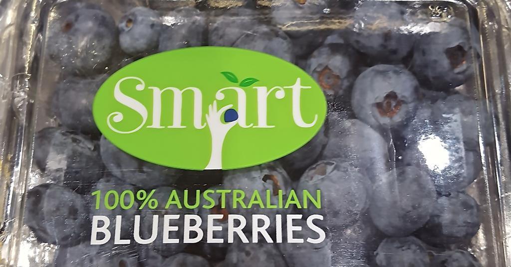 Smart Berries building up | Article | Fruitnet