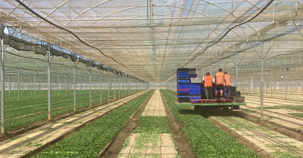 Agrial centred on sustainability | Features | Fruitnet