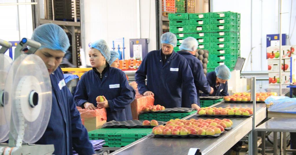 23: Worldwide Fruit | Article | Fruitnet