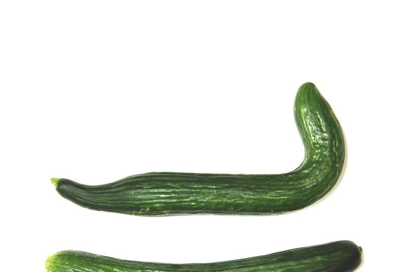 Morrisons trials ‘snozzcumbers’ | Article | Fruitnet