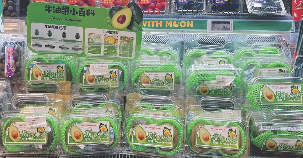China claims avocado import crown | News | Fruitnet