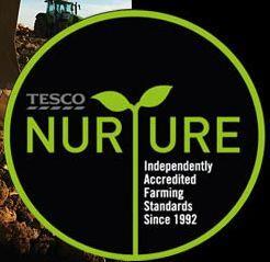 Is Tesco's Nurture scheme up for the chop? | Analysis | Fruitnet