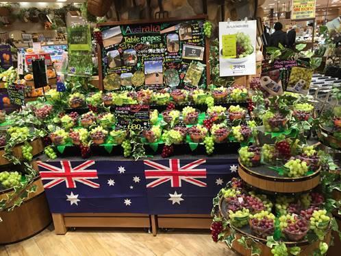 Hort Innovation announces new panels | Article | Fruitnet