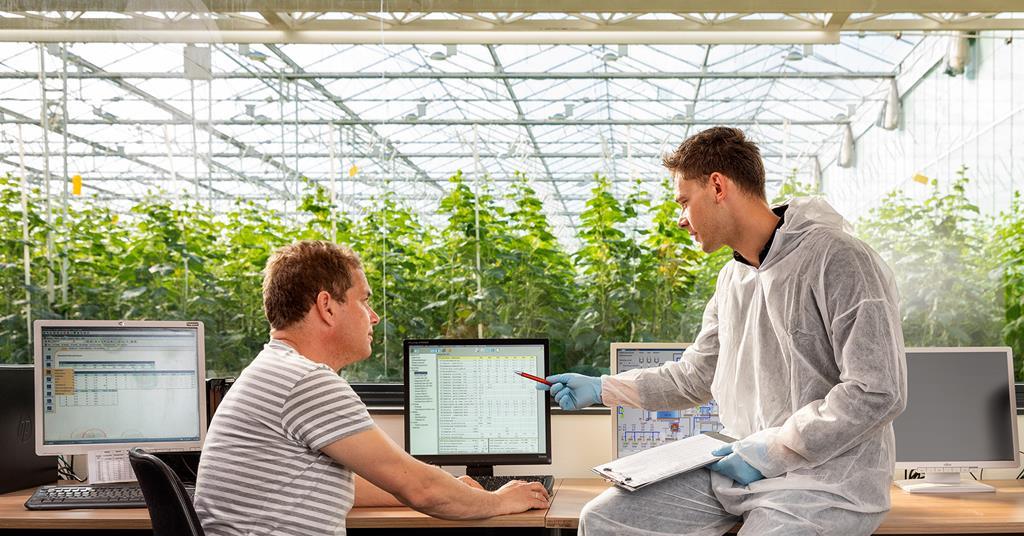 BASF reaches cucumber milestone | Article | Fruitnet