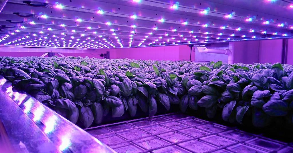 Vertical farm to open in Berlin retail park | Article | Fruitnet