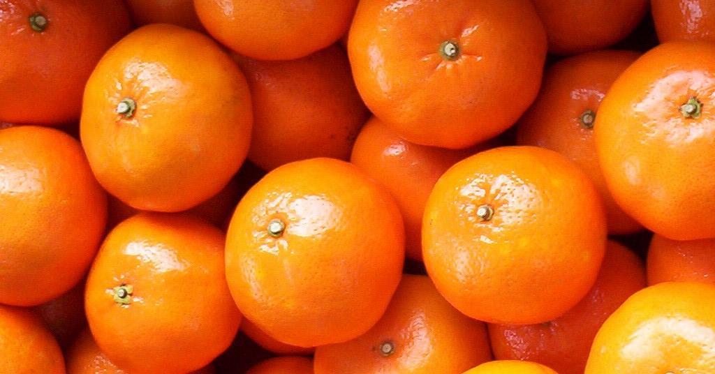 Spain’s citrus outlook | Article | Fruitnet