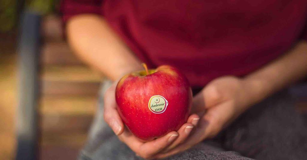 Vip extends supply deals as club apple volumes rise | News | Fruitnet