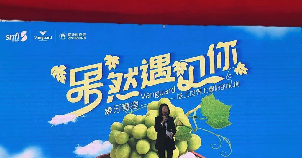 Tasting events for Ivory grapes in China | Article | Fruitnet