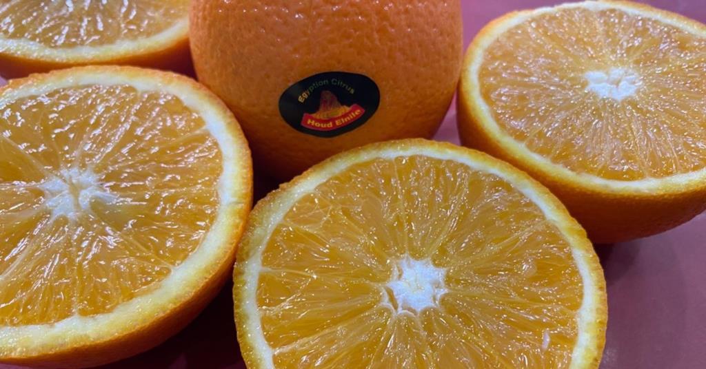 Egyptian citrus faces rocky road to top | News | Fruitnet