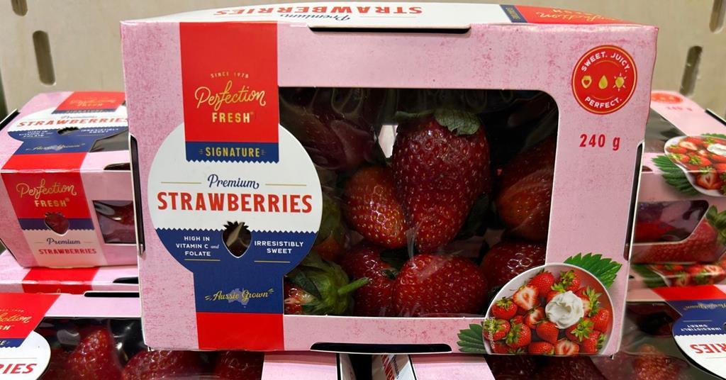 Perfection Fresh launches recyclable premium strawberry punnet | News ...