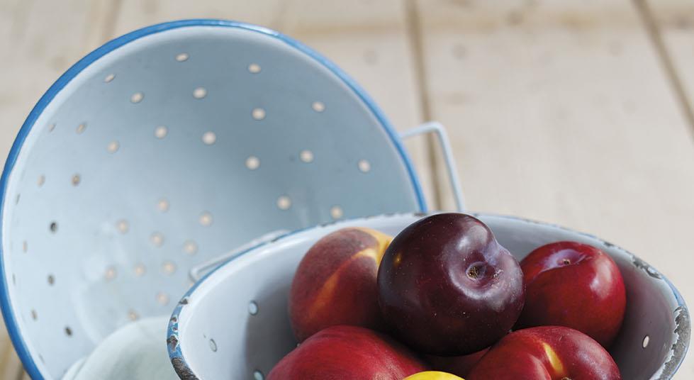 44: Direct Produce Supplies | Article | Fruitnet