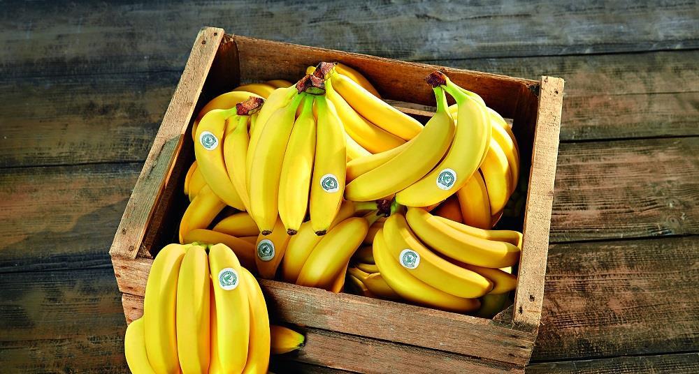 Mixed year for Rainforest Alliance bananas | Article | Fruitnet