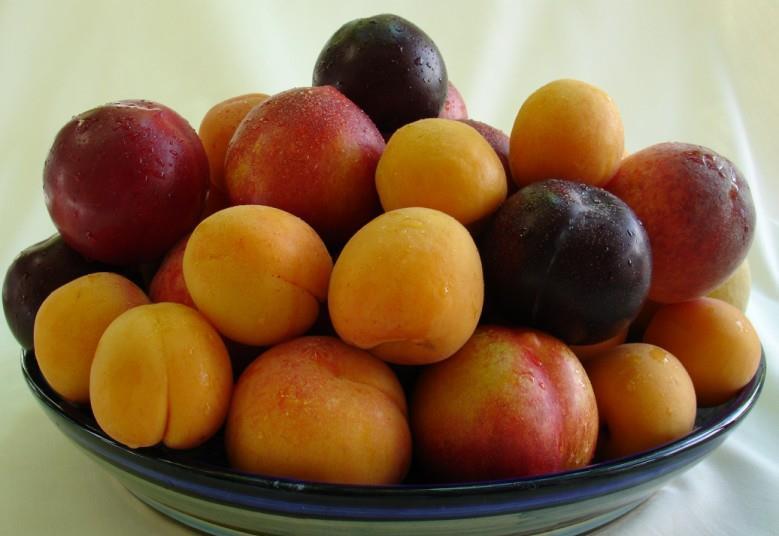 US declares RSA stonefruit safe | Article | Fruitnet