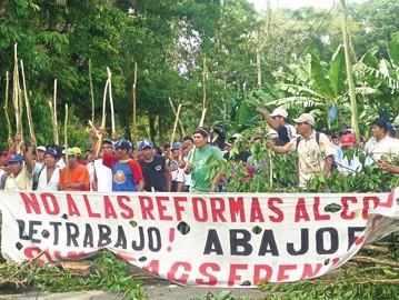 Panama banana strike persists | Article | Fruitnet