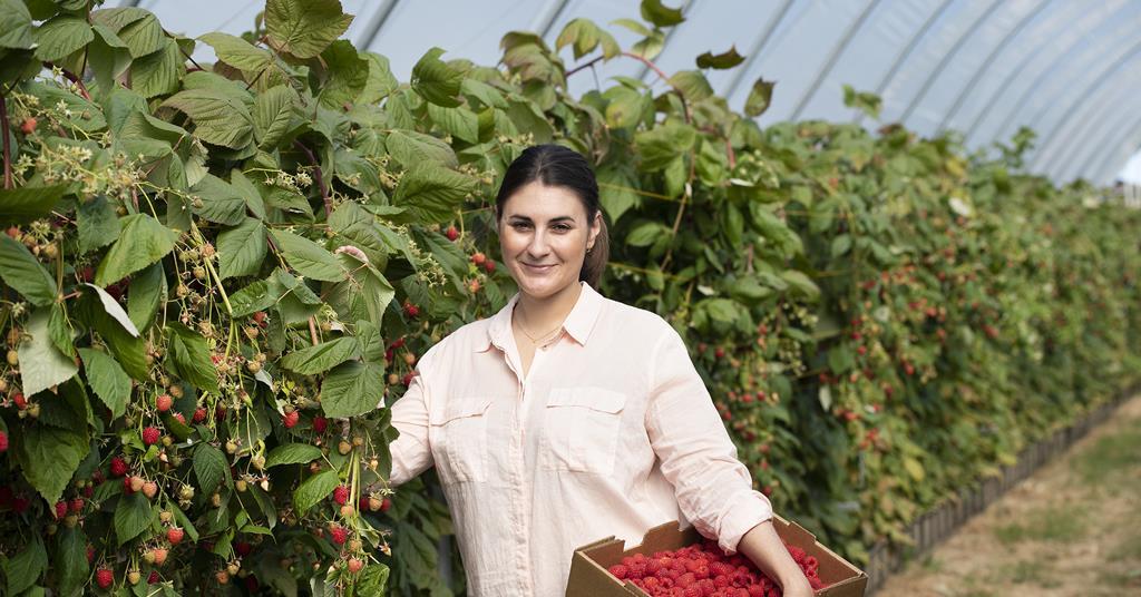 Rebecca Scurr wins BerryQuest International 2025 Next Generation Award ...