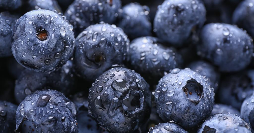 Asocolblue launches Colombian blueberry brand | News | Fruitnet
