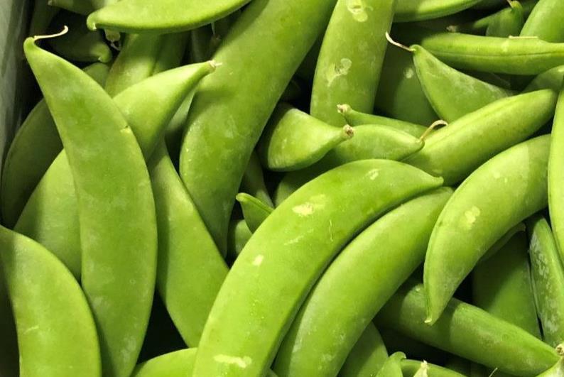 Daikin gets Peruvian snap peas to Japan | Article | Fruitnet