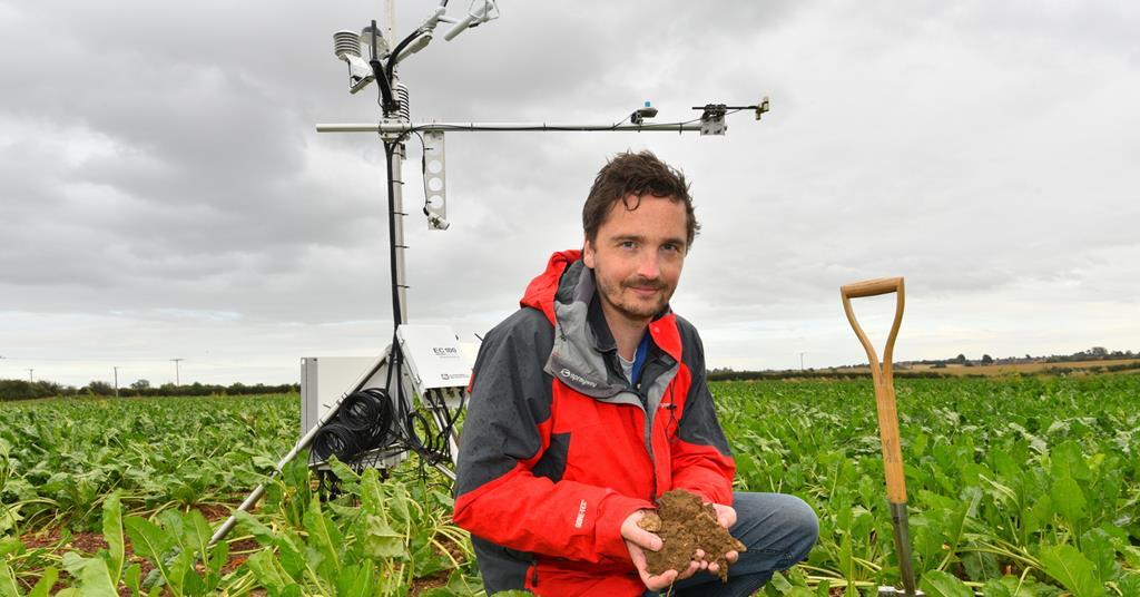 Project to protect soil health from rising sea levels | Article | Fruitnet