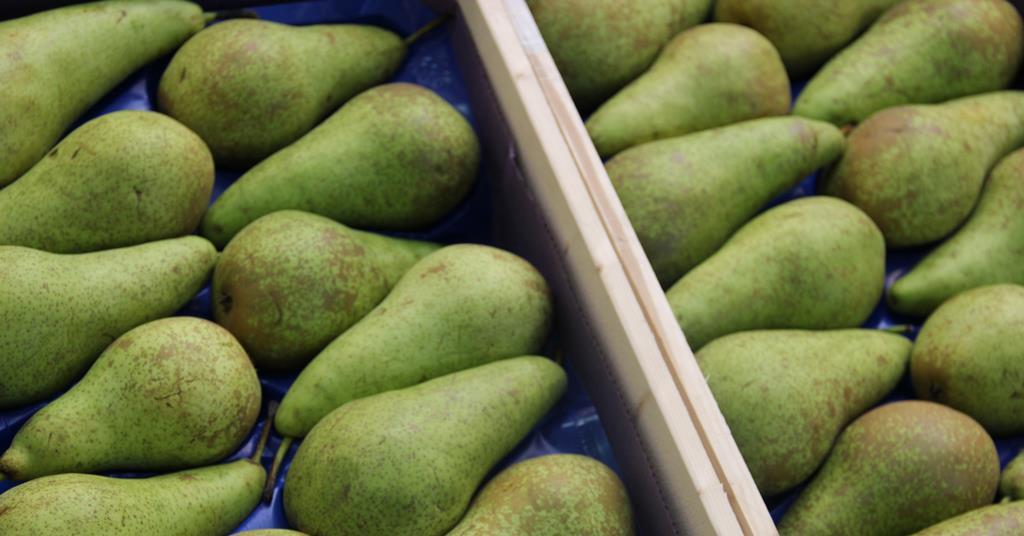 Dutch eat more pears than Germans, French, Italians or Brits | News ...
