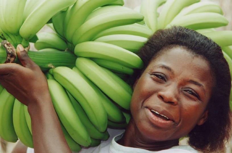ACP anger at EU banana proposal | Article | Fruitnet