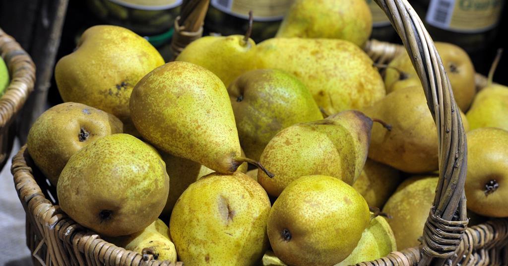 Neuer Trend: Buddha-Birne | Article | Fruitnet